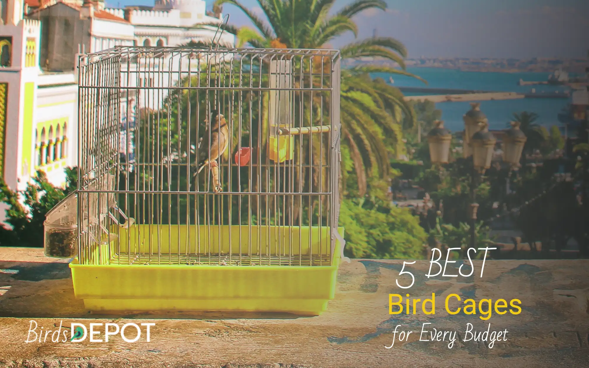 5 Best Bird Cages on Amazon for Every Budget | BirdsDepot