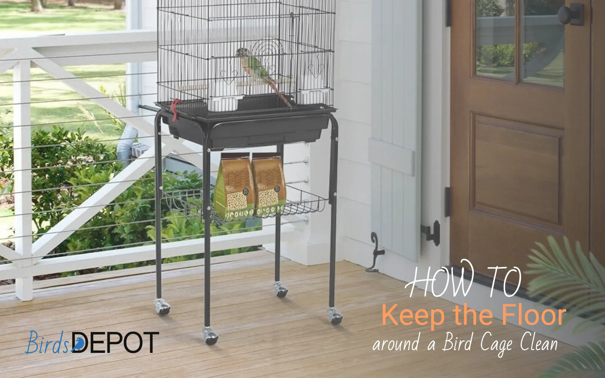 How to Keep the Floor Around a Bird Cage Clean- BirdsDepot