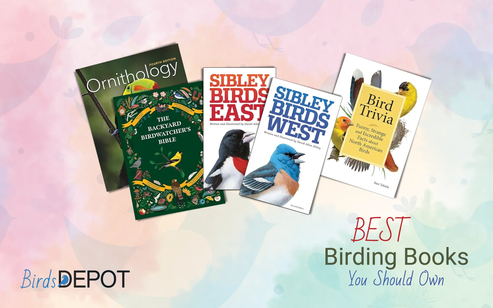 10 Best Birding Books Every Bird Watcher Should Own - BirdsDepot
